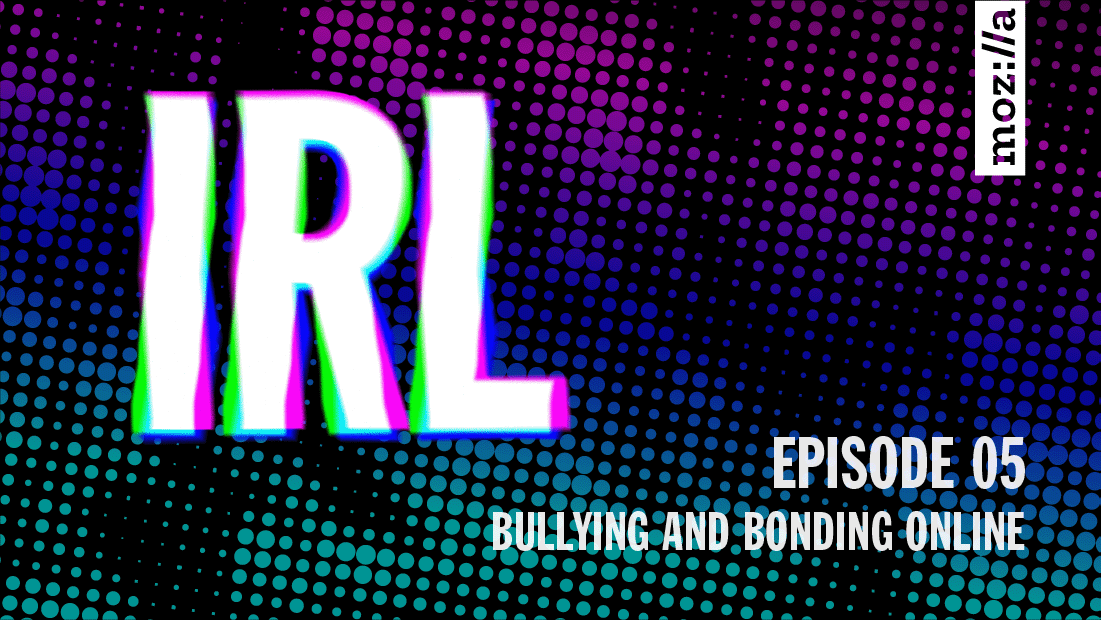 Bullying and Bonding Online